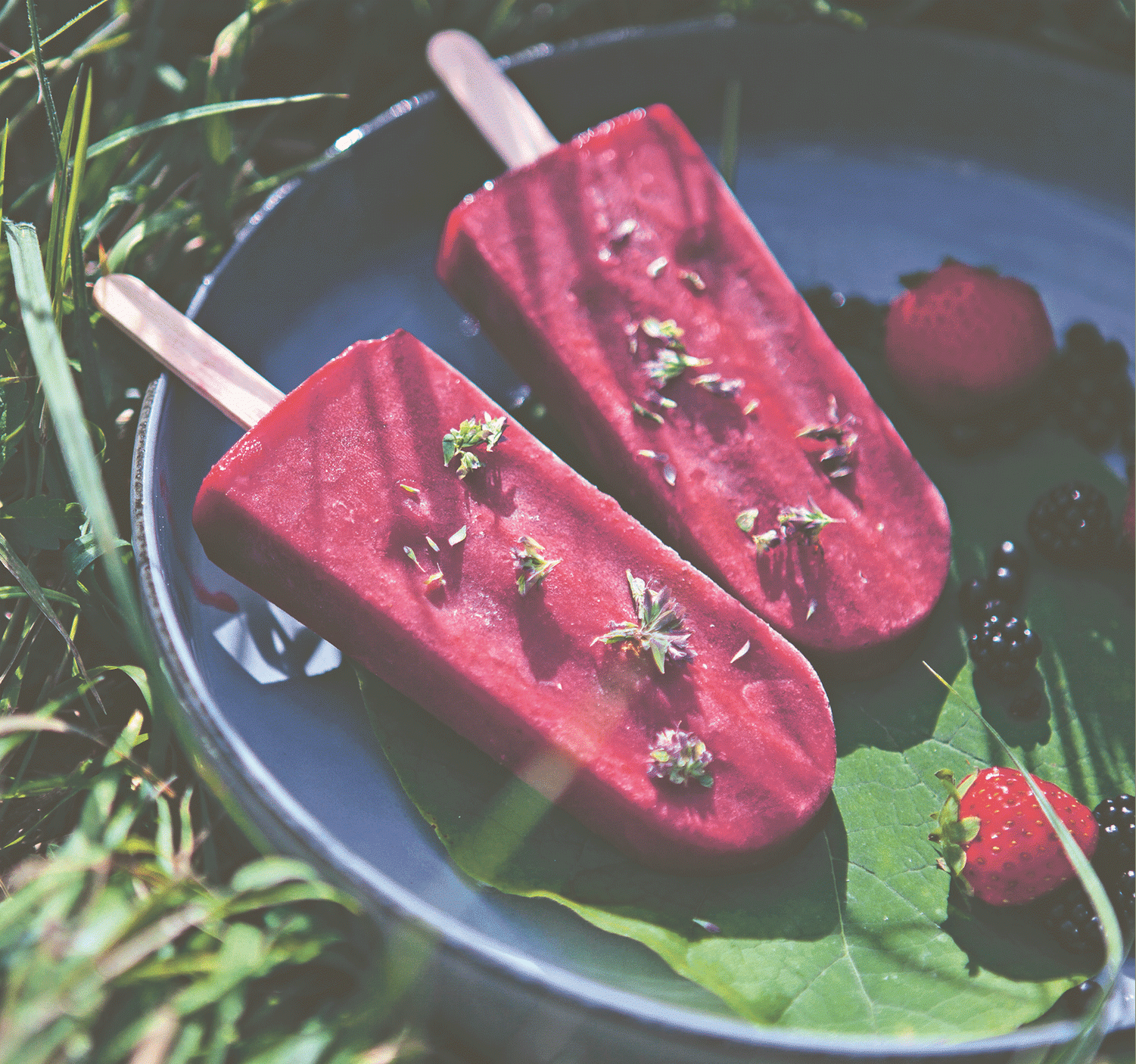 Sorbet aux fruits rouges sauvages - Journal des éditions Ulmer