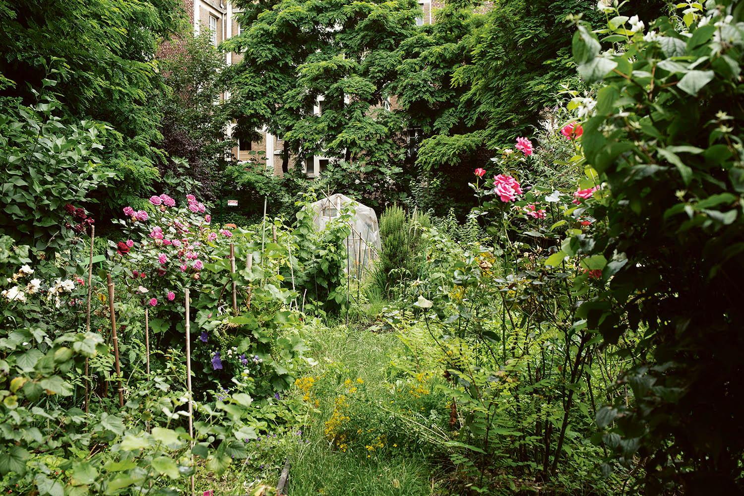 Les nouveaux jardins nourriciers - Journal des Editions Ulmer