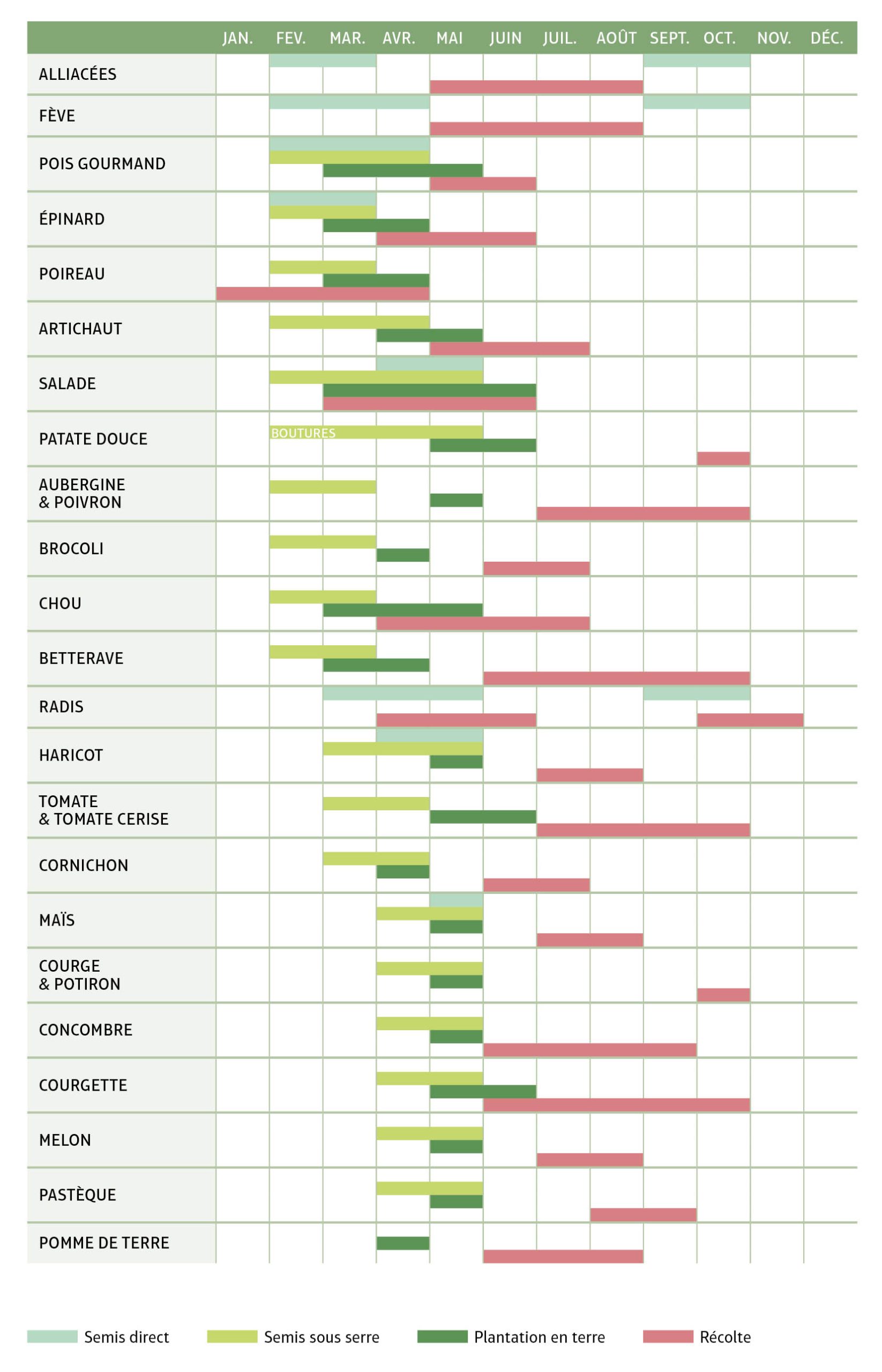 Faire ses semis pour un potager productif - Journal des Editions Ulmer